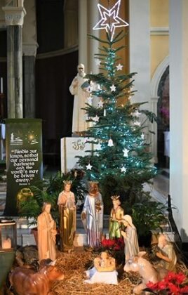 The Christmas Tree and St Columban: Plant for the Earth! - Columban ...